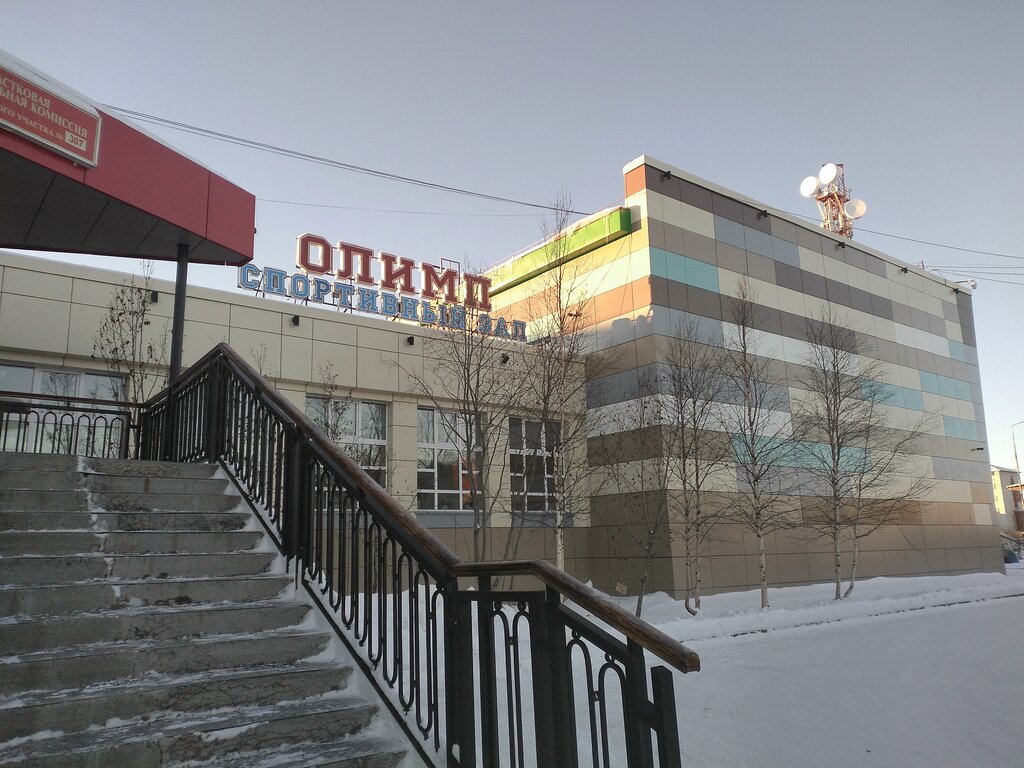 Spor kulüpleri Площадка волейбол, Labytnangi, foto