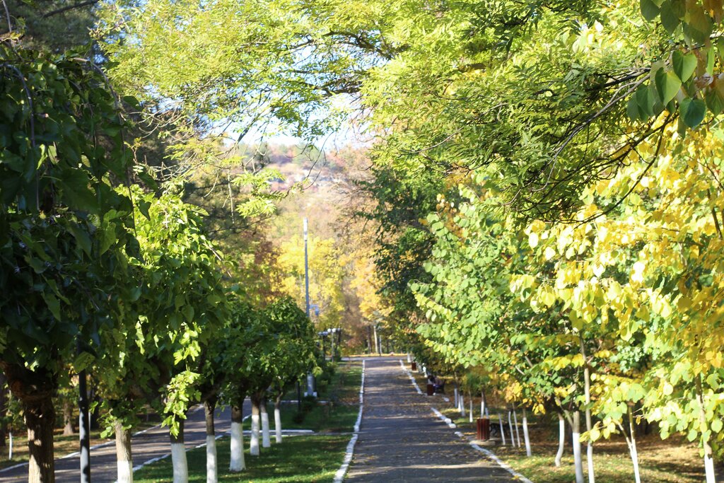 Kültür ve eğlence parkları парк имени П.Х. Витгенштейна, Transdinyester, foto