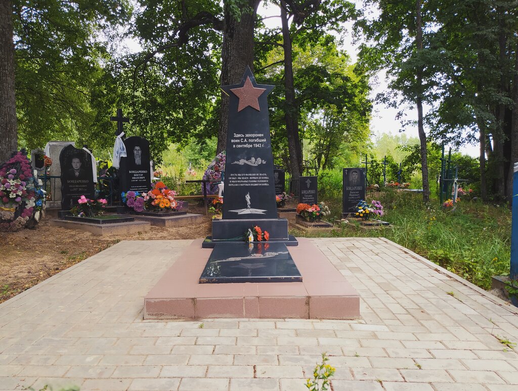 Anıt, heykel Неизвестный Солдат, Brianskaya oblastı, foto