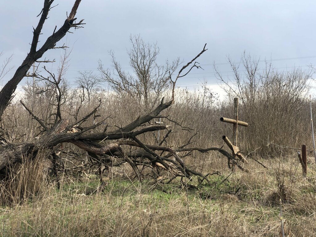 Mezarlıklar Старое христианское кладбище, Grozni, foto