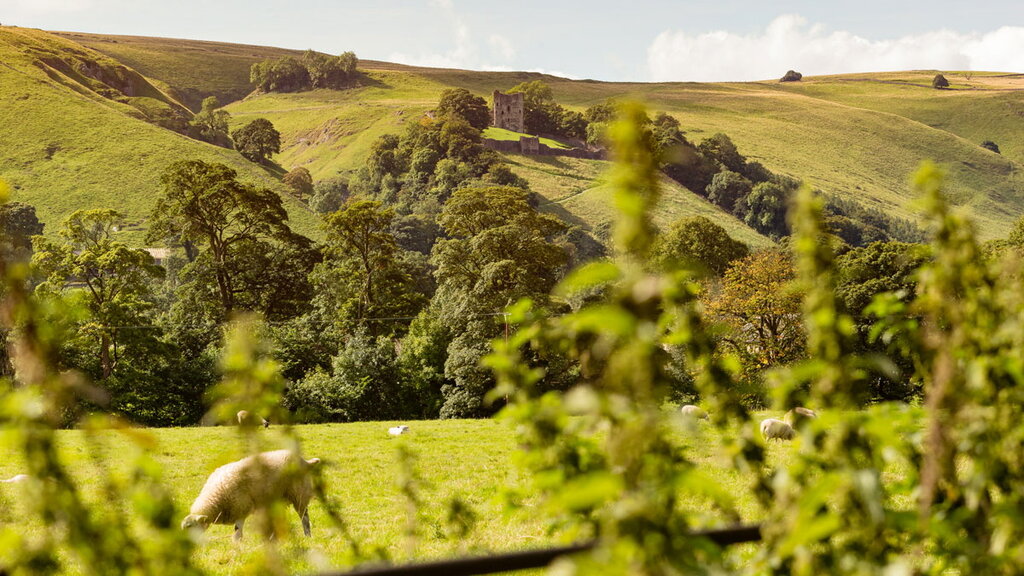 Kamp alanları Castleton Caravan and Motorhome Club Campsite, İngiltere, foto