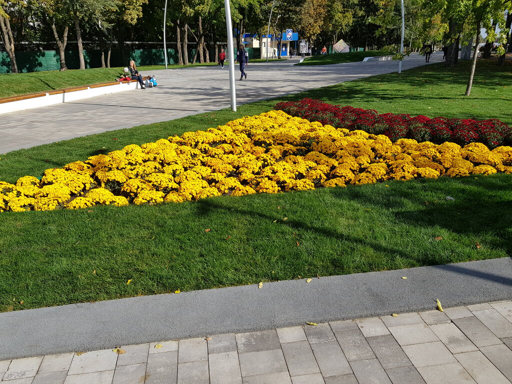 Kültür ve eğlence parkları Pisarzhevskyi Park, Dnepropetrovsk, foto
