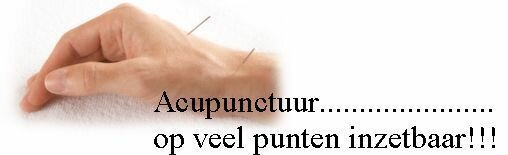Alternatif tıp merkezleri Acupunctum, Acupunctuur Groningen, Zuidhorn EN Vries, Groningen, foto