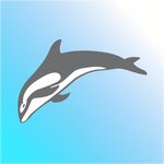 Delphin Reinigung (Sandweg No:38, Frankfurt am Main, Frankfurt), kuru temizlemeciler  Frankfurt am Main'den