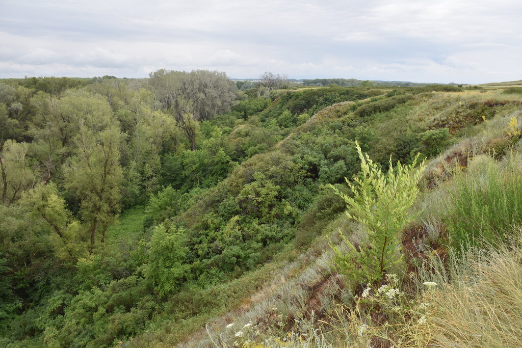 Doğa Урочище Красногоры, Orenburgskaya oblastı, foto