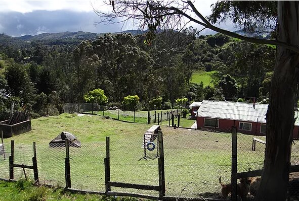 Evcil hayvan yetiştiricileri FrancisCanes Canine Hotel College, , foto