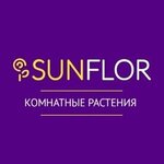 Sunflor (Samokatnaya Street No:4с1, Moscow), çiçekçiler  Moskova'dan