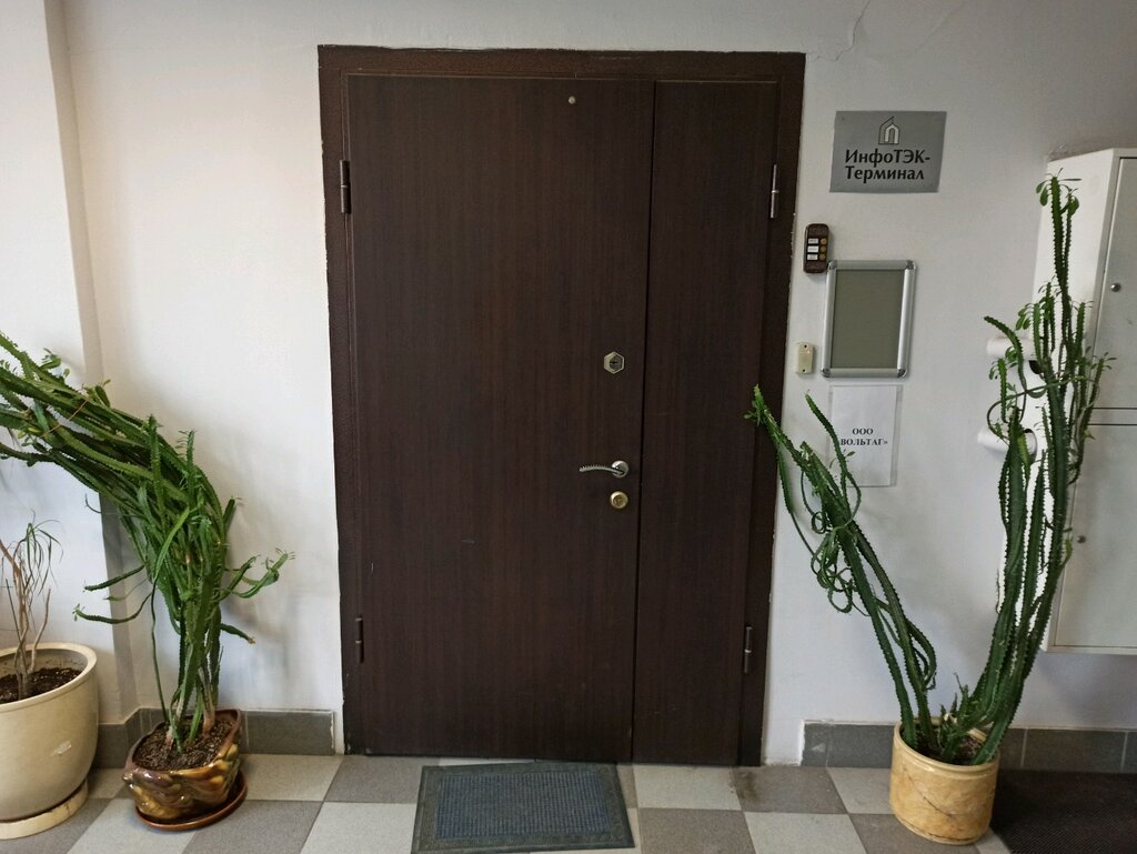 Orkestralar Kamerny orkestr Kremlin, Moskova, foto