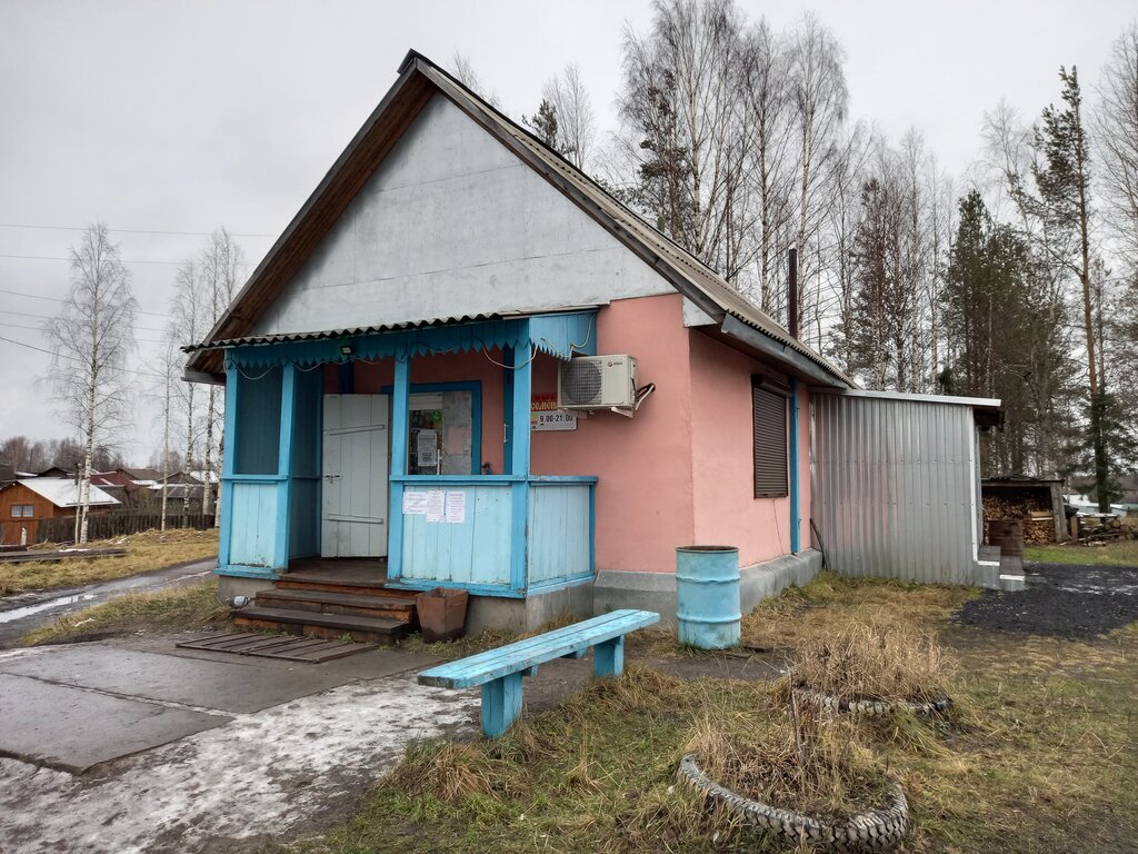 Market Семеновна, Arhangelskaya oblastı, foto