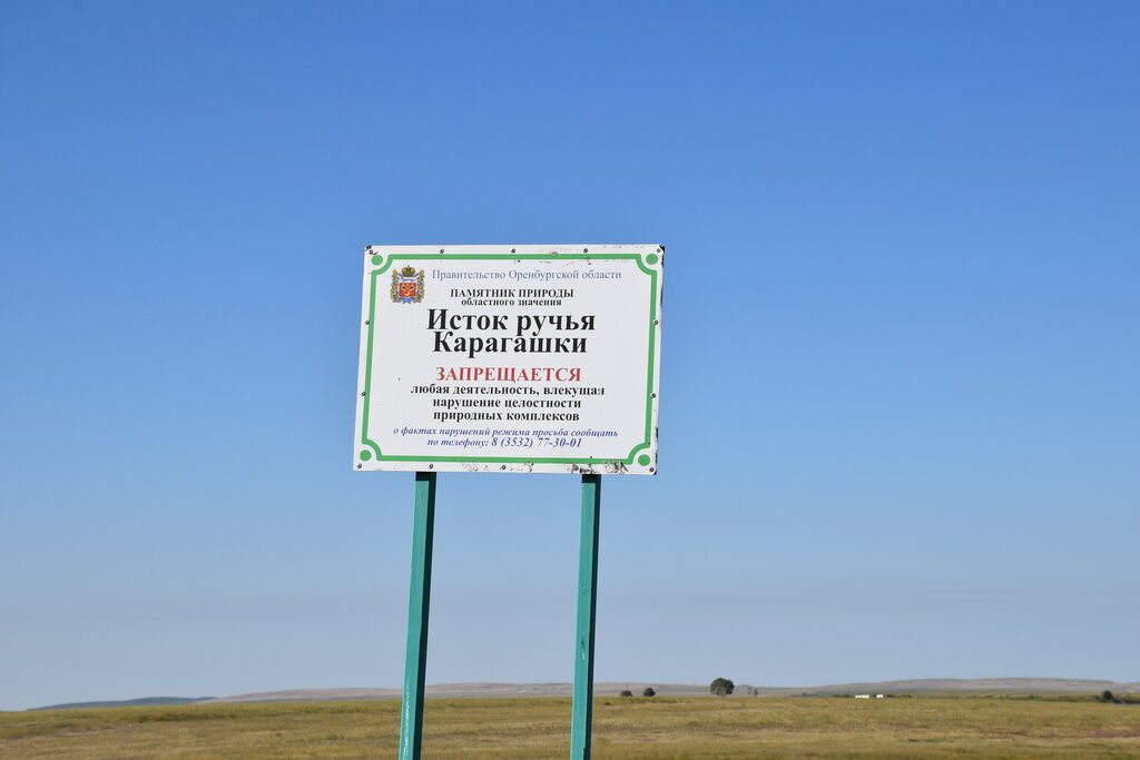 Pınar, çay Исток ручья Карагашки, Orenburgskaya oblastı, foto