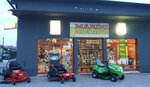 Marini Garden Service (Via Carpenedolo No:56, Montichiari, Castiglione delle Stiviere), sera ve bahçe ürünleri  Lombardiya'dan