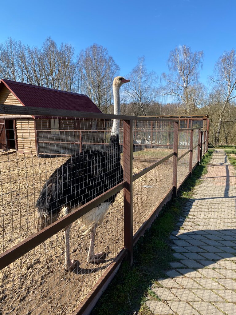 Kuşlar için büyük kafes Парк птиц Воробьи, утки, Kalujskaya oblastı, foto