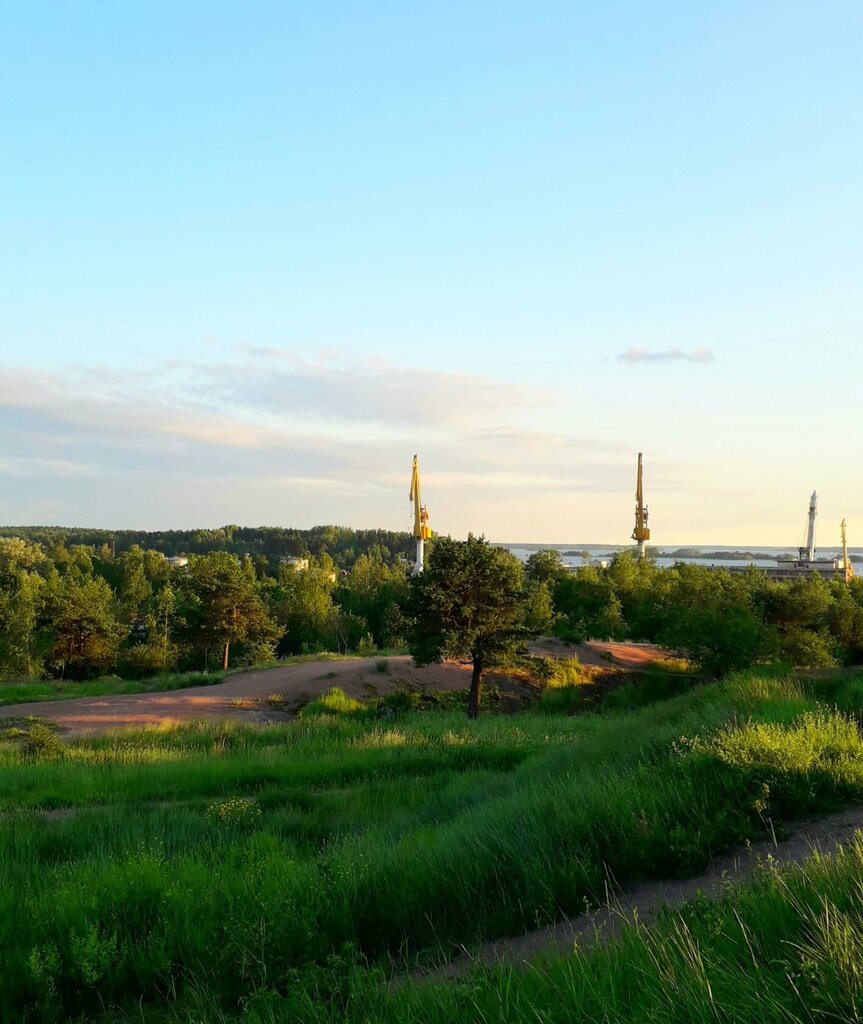 Turistik yerler Singing Field, Vyborg, foto