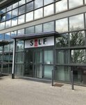 Self - Galvani Gabriele e C. (Viale Italia No:9), danışmanlık hizmetleri  Rimini'den
