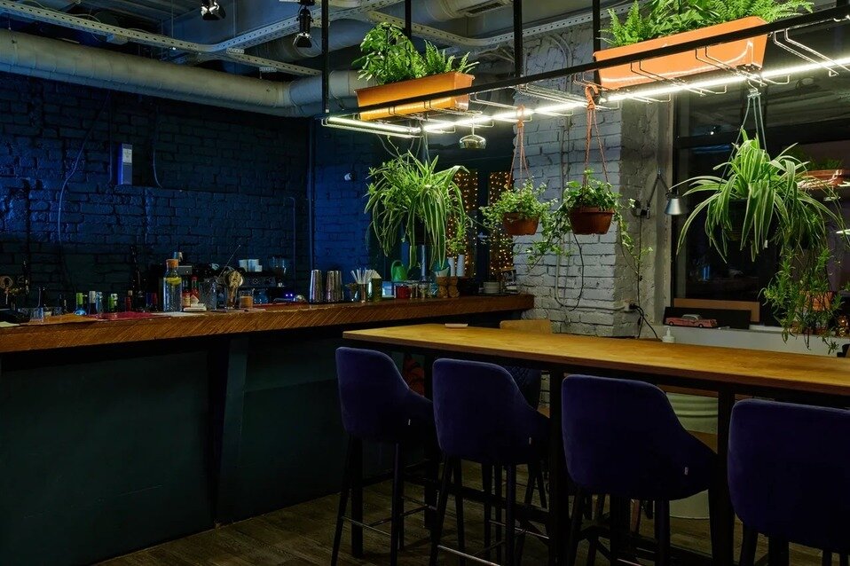 Kafe Molodost, Moskova, foto