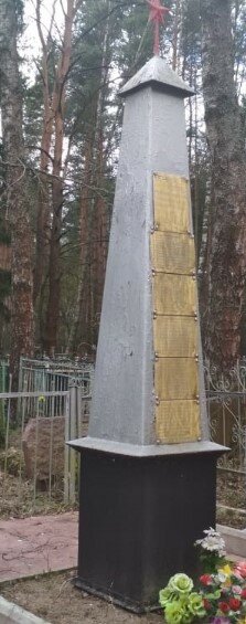 Anıt, heykel Обелиск павшим воинам в годы Великой Отечественной войны, Moskova ve Moskovskaya oblastı, foto