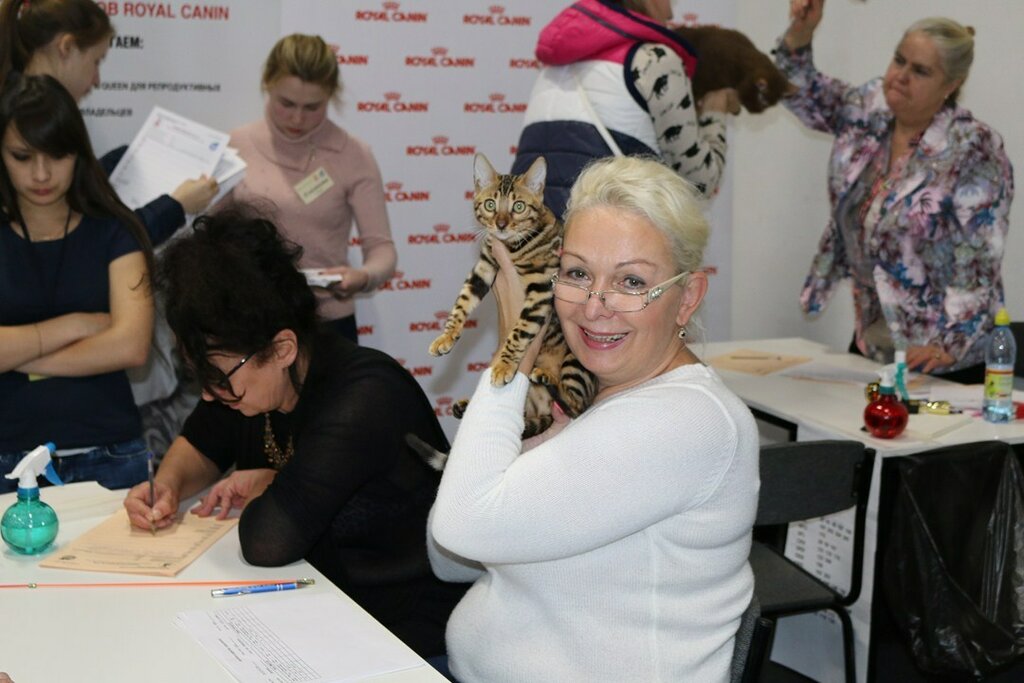 Evcil hayvan yetiştiricileri Nursery Threecats, Kohma, foto