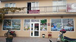 Продукты (Vesyolaya Street No:56, Urban-Type Settlement of Sirius), market  Krasnodarski krayından
