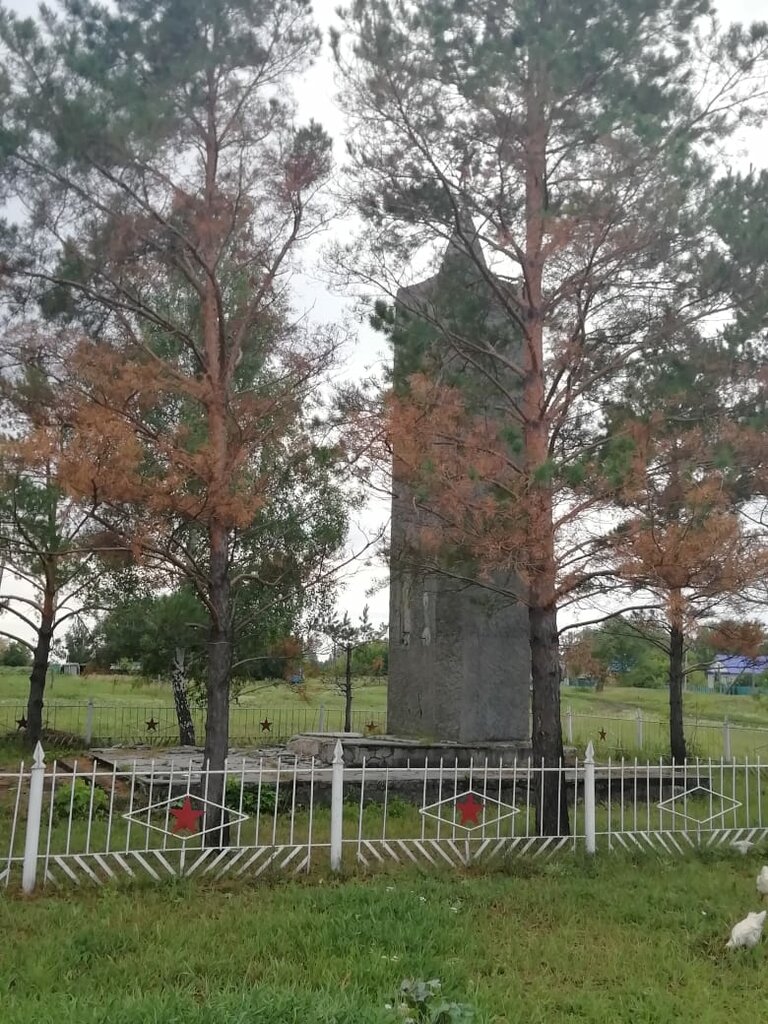 Anıt, heykel Обелиск Символ памяти народной, Omskaya oblastı, foto