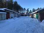 Стоянка Лесная (Leningrad Region, Luga), garajlar  Luga'dan