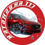 Автозапчасти (No:1, posyolok Sibirskiye Ogni), otomobil servisi  Altayski krayından