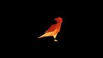 White Crow (Lyuby Shevtsovoy Street No:15), i̇nternet kafeler  Tomsk'tan
