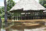 Amazonian Trips-Chullachaquiecolodge (Departamento de Loreto, Provincia de Maynas, Iquitos), seyahat acenteleri  Iquitos'tan