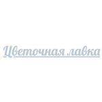 Cvetochnaya lavka (vulica Karpovicha No:28/4), çiçekçiler  Gomel'den