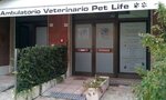 Ambulatorio Veterinario Pet Life (Via Felice Giani No:8, Jesi), veteriner klinikleri  Marche'den