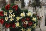 Onoranze Funebri Ballotta Giacomo e C. (Emilia-Romagna, Piacenza, Via Calendasco, 5), cenaze hizmetleri  Emilia‑Romagna'dan