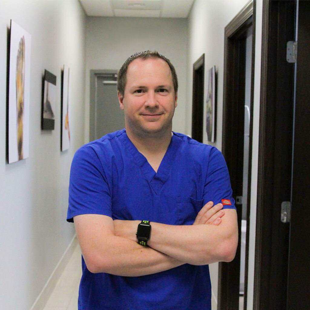 Özel muayenehaneler InStride Foot & Ankle Specialists, Kuzey Carolina Eyaleti, foto