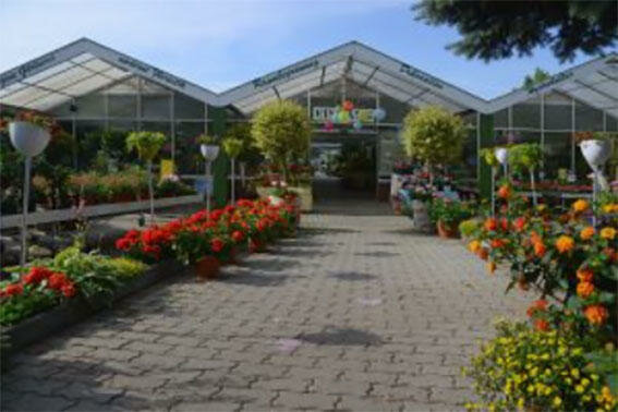 Çiçek teslimatı Blumen- & Pflanzencenter Wosch GbR, Brandenburg, foto