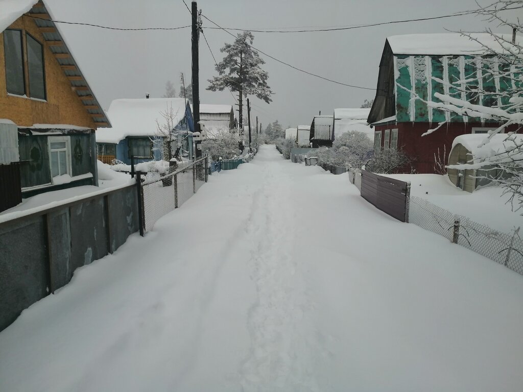 Bahçecilik dernekleri ve kuruluşları Уральские Зори, Zlatoust, foto