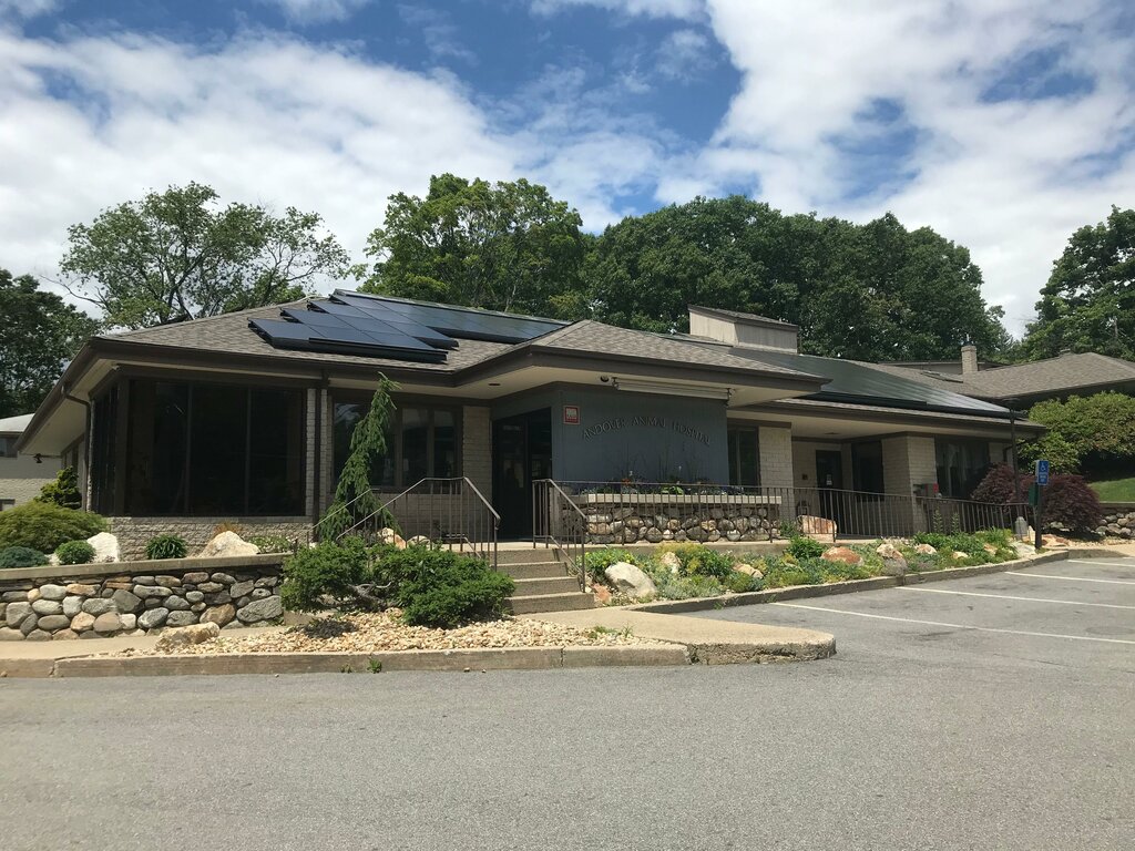 Evcil hayvan kuaförleri Andover Animal Hospital, Massachusetts, foto