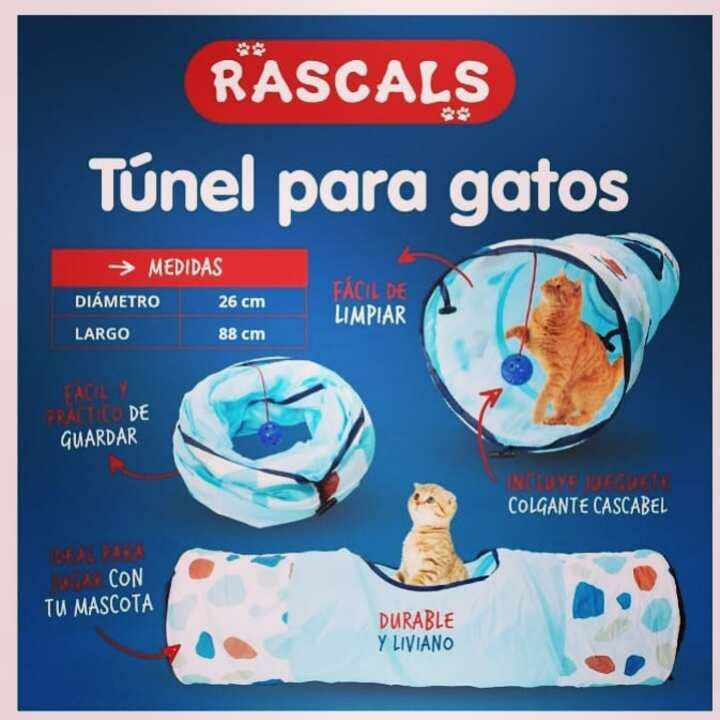 Evcil hayvan kuaförleri Dcm Pet Shop Boedo, Buenos Aires, foto