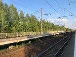остановочный пункт 11 километр (Leningrad Region, Vsevolozhckiy DIstrict, Koltushskoye gorodskoye poseleniye, sadovodcheskiy massiv Myaglovo-Karyer, sadovodcheskoye nekommercheskoye tovarishchestvo Ostrov, 3-ya liniya), tren istasyonu  Saint‑Petersburg ve Leningradskaya oblastından