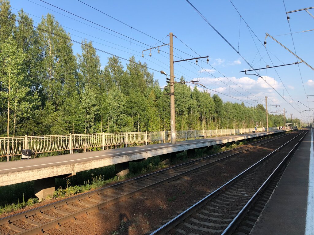 Tren istasyonu остановочный пункт Рыжики (11 километр), Saint‑Petersburg ve Leningradskaya oblastı, foto