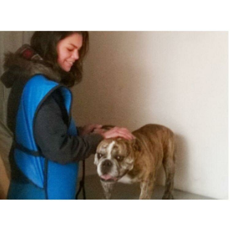 Veteriner klinikleri Veterinaria Grecia, Bogota, foto