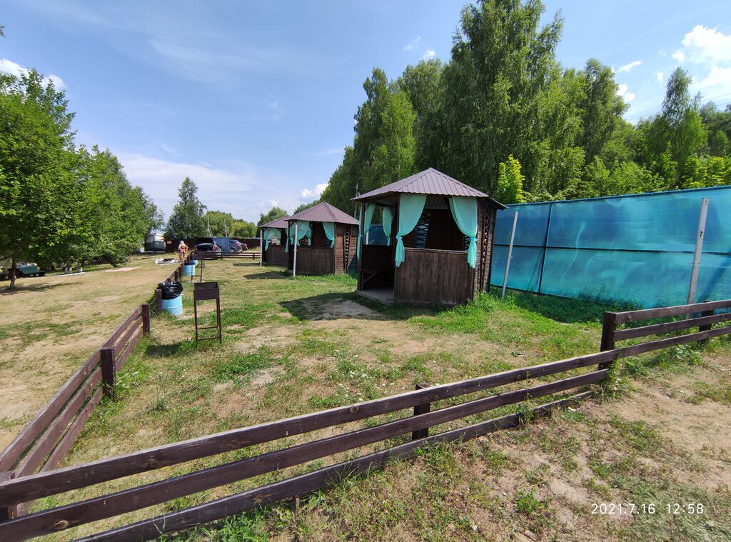 Plaj Пляж, Penzenskaya oblastı, foto
