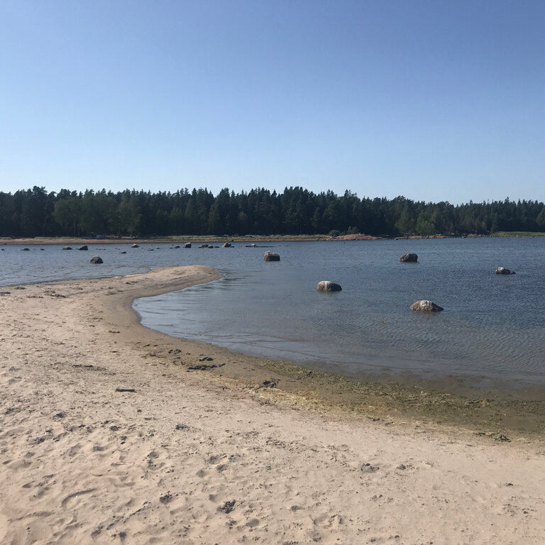 Plaj Пляж, Saint‑Petersburg ve Leningradskaya oblastı, foto