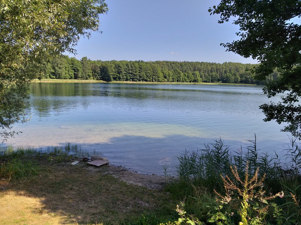 Piknik alanı Место для пикника, Minskaya oblastı, foto