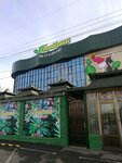 Tropicana (Jambıl avenue No:73А), kafe  Taraz'dan