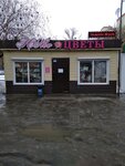 Цветы (Saratov Region, Engels, ulitsa Marshala A.M. Vasilevskogo), çiçekçiler  Engels'ten