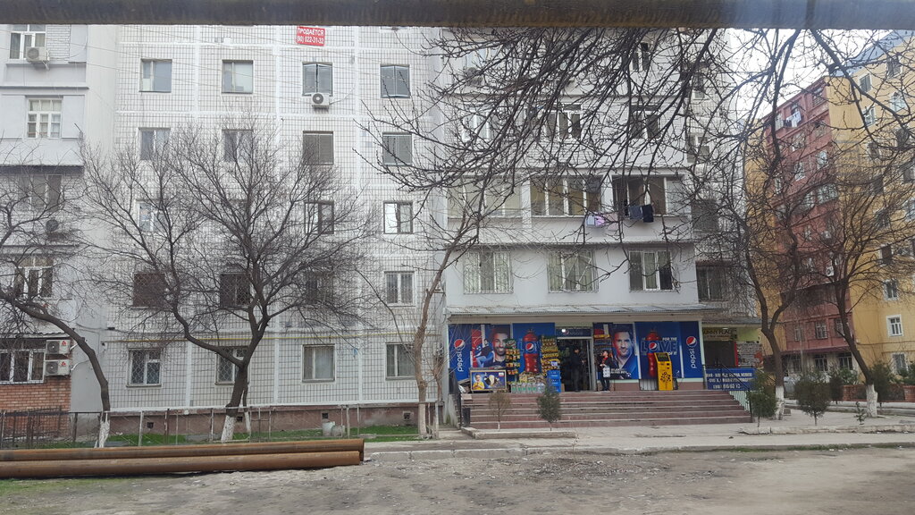 Yabancı dil kursları Sunny Place, Taşkent, foto