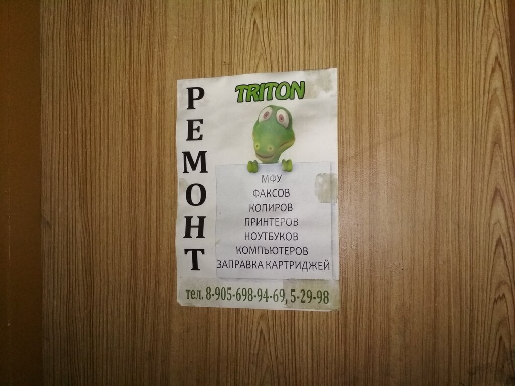 Elektronik ofis ekipmanları tamiri Triton, servisny tsentr, Viazma, foto
