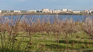 Помологический сад ВГАУ (gorodskoy okrug Voronezh, Tsentralniy District, Pomologicheskiy sad VGAU), bahçe  Voronej'den