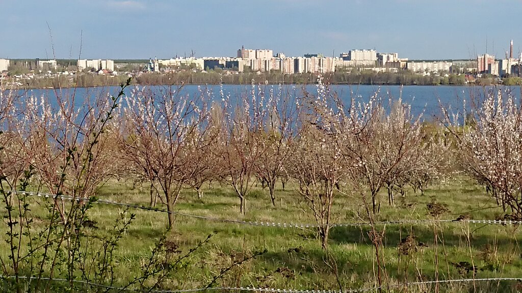 Bahçe Помологический сад ВГАУ, Voronej, foto