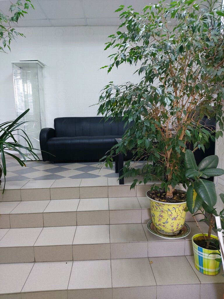 Kuaförler EkoStil, Moskova, foto