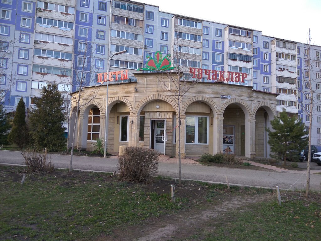 Çiçekçiler Цветы, Almetyevsk (Elmet), foto