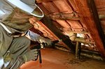 VerEx - Schädlingsbekämpfung Fürth (Bavaria, Nürnberg, Hans-Vogel-Straße), haşere ilaçlama firmaları  Nurnberg'den